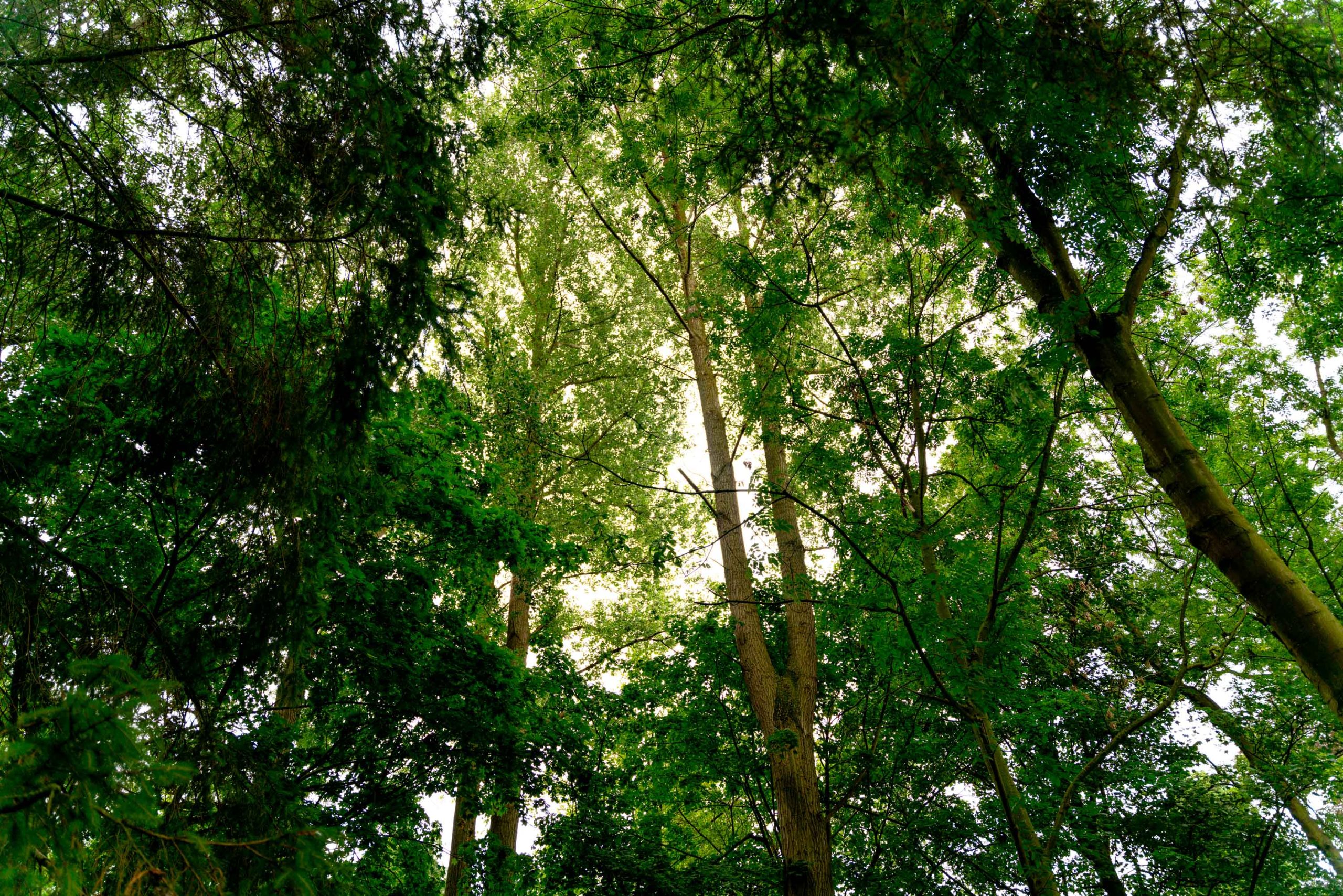 Find Us - Peplow Hall